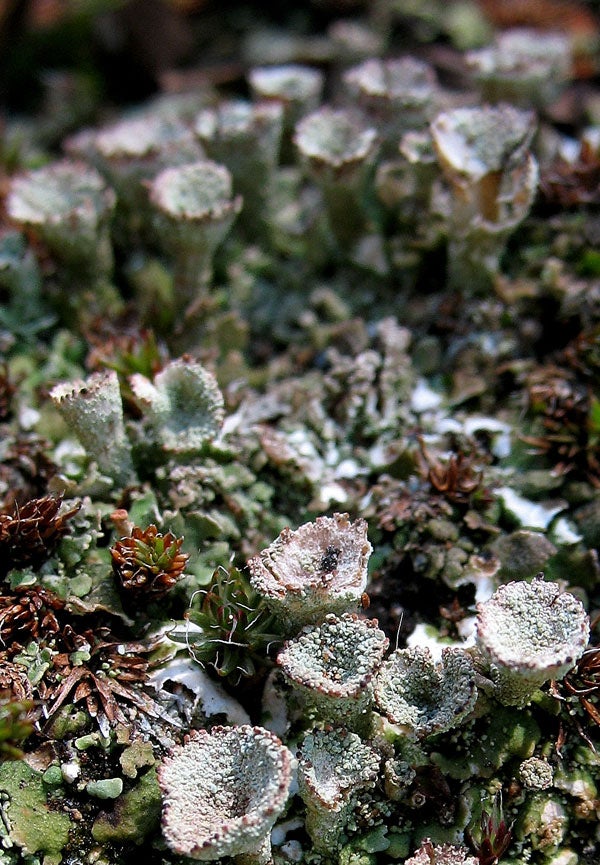 Unique Boulders in Tinos, Greece - Climbing