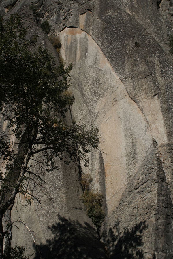 Learn the Essential Climbing Knots - Climbing