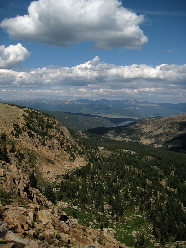 Rocky Mountain Wildflowers - Climbing