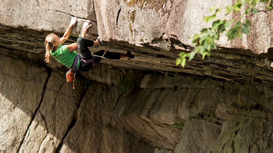 New Directions: The Brette Harrington Profile