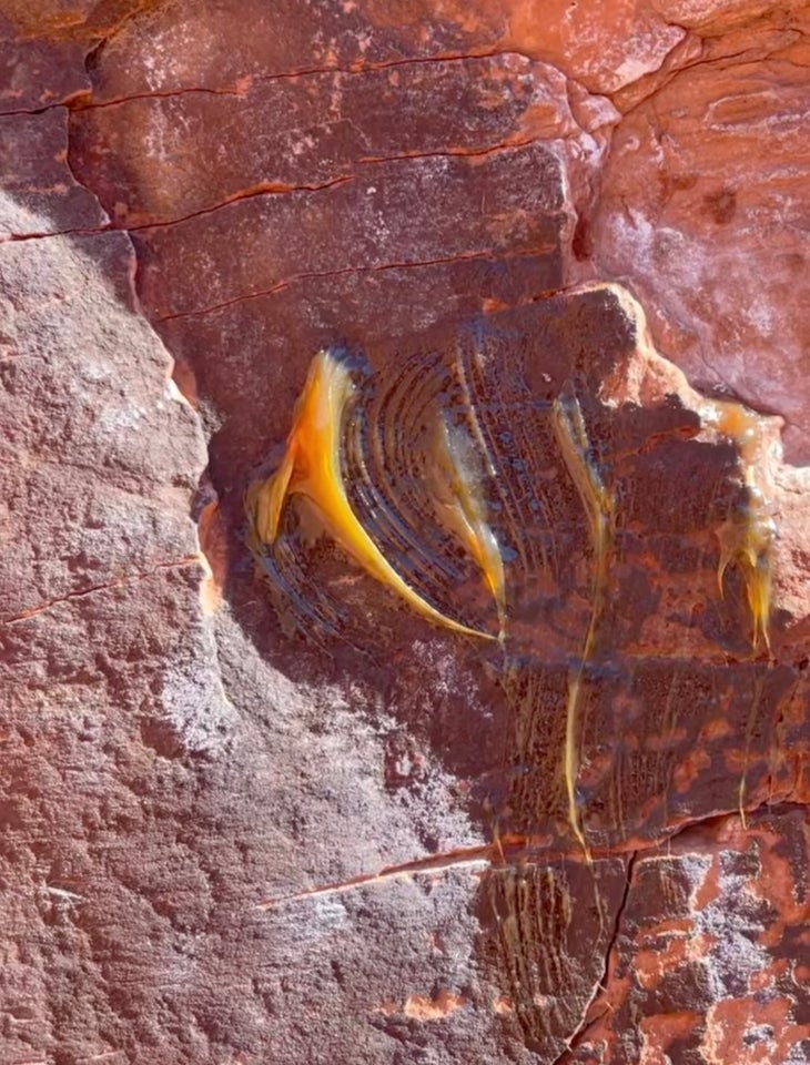 Moab's Famous Big Bend Boulders Vandalized with Grease - Climbing