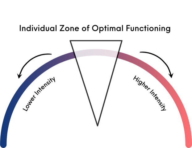 Learn ideal Zone of Optimal Functioning